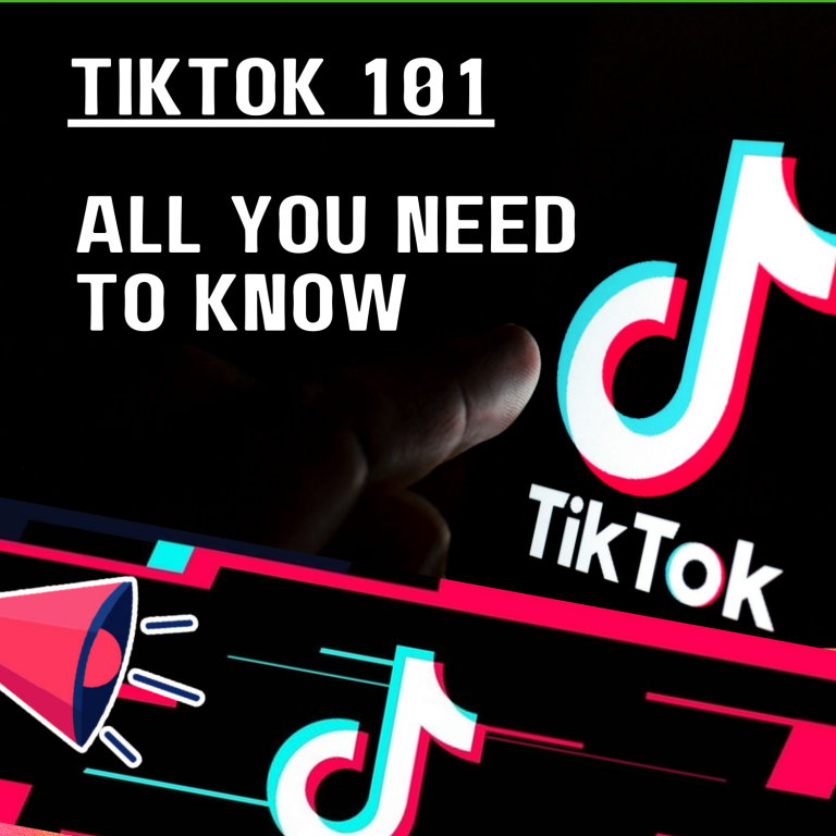 tittok 101 – All you need to know - Wealth Startup